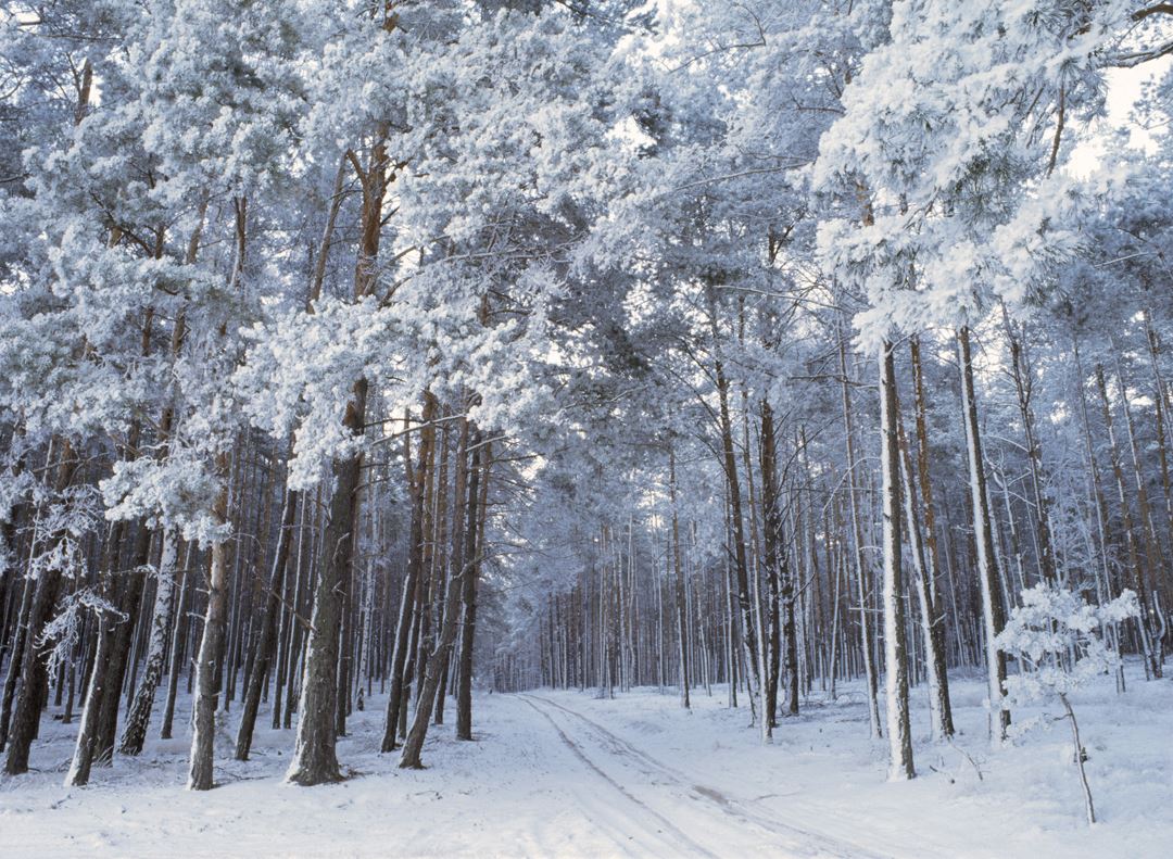 Municipality of Saint-Calixte | Tourisme Lanaudière