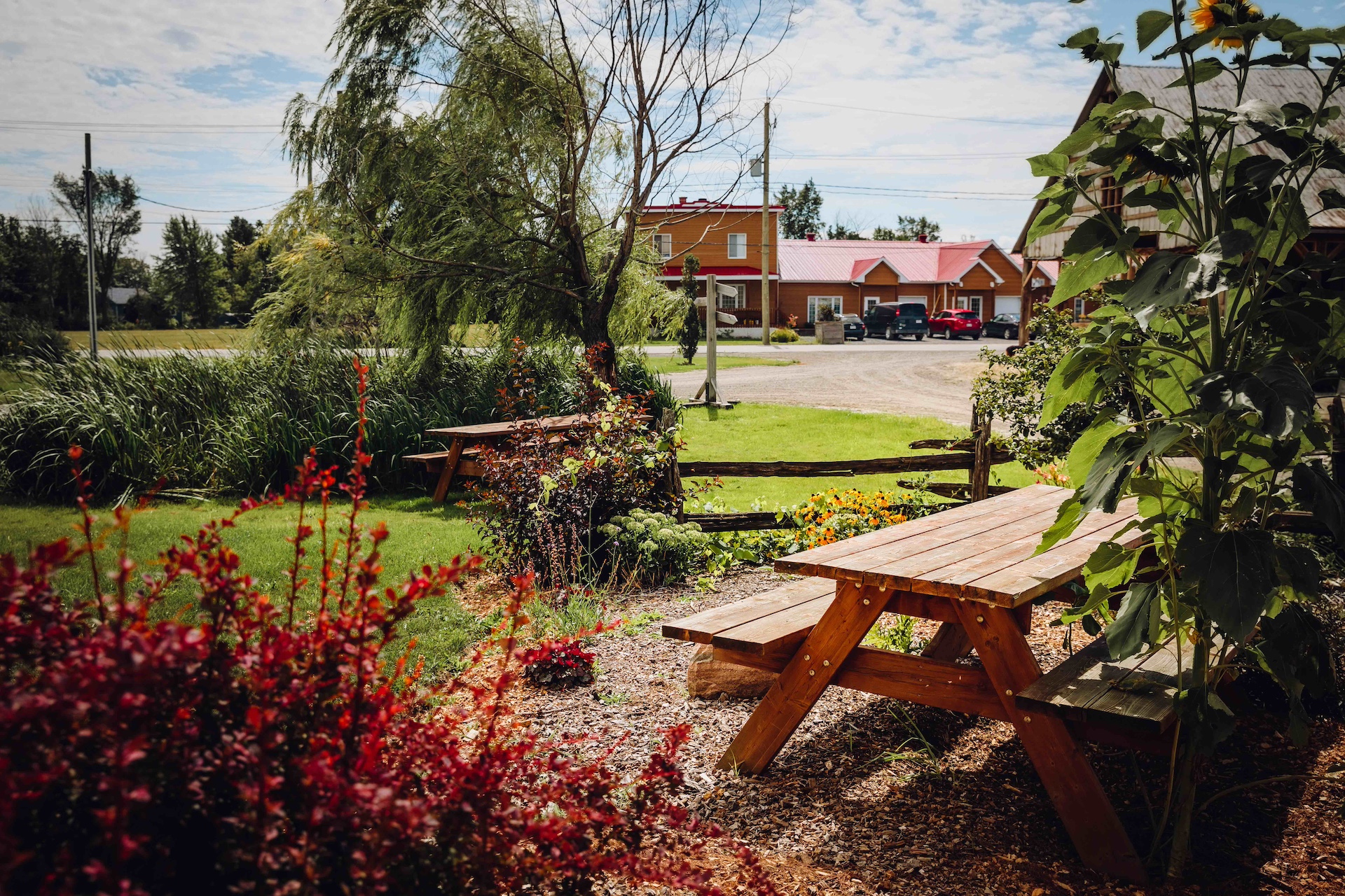 À la découverte du circuit des saveurs urbaines et rurales